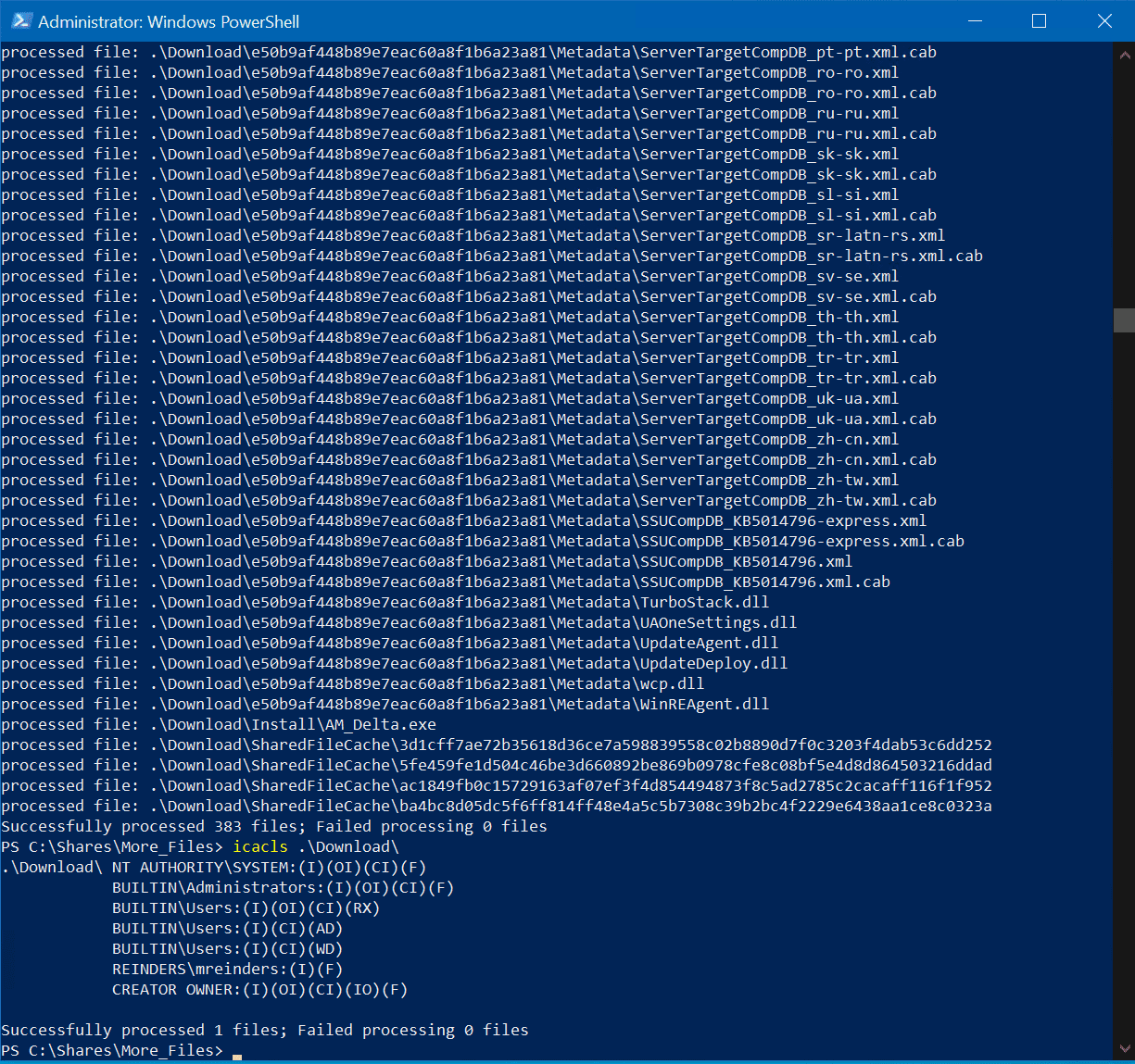 Using Icacls To Manage File Permissions The Definitive Guide 5331