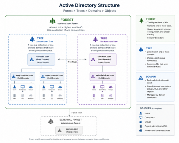 Active Directory Domains vs Trees vs Forests Explained